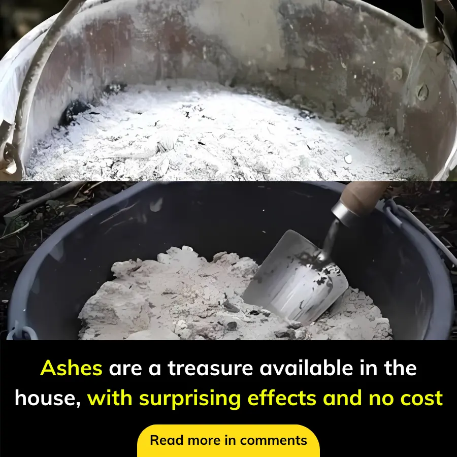 Ashes - surprising effects and no cost