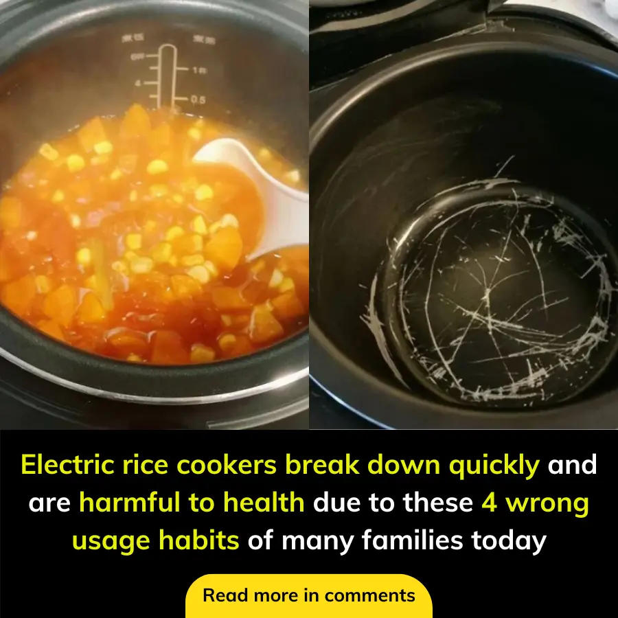 Electric rice cookers break down quickly and are harmful to health due to these 4 wrong usage ...