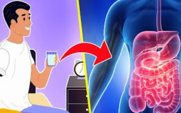 Why should you drink water on an empty stomach right after waking up?