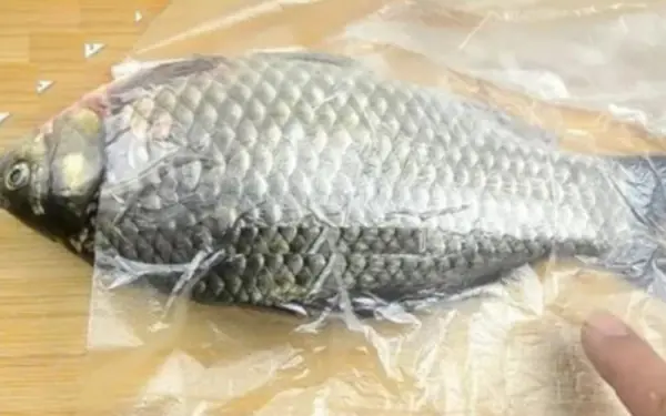 It turns out that you only need to use a 'plastic bag' to scrape fish ...