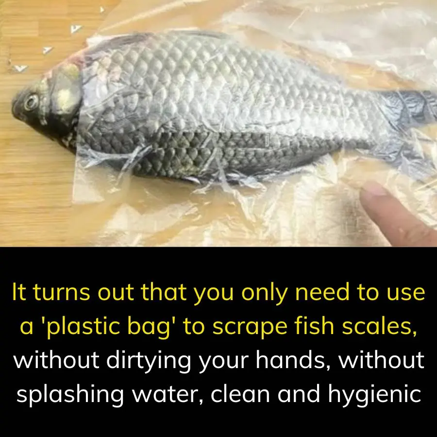 It turns out that you only need to use a 'plastic bag' to scrape fish ...