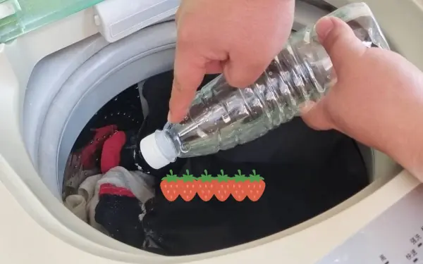 Putting an Empty Plastic Bottle in the Washing Machine – A Genius Hack!