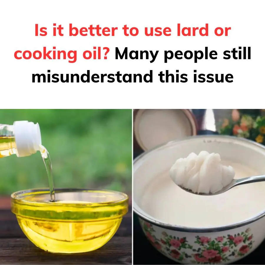 Is it better to use lard or cooking oil?