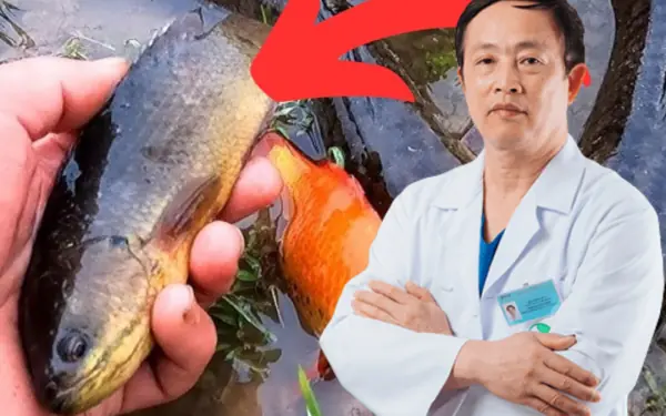 8 types of fish that contain the most mercury