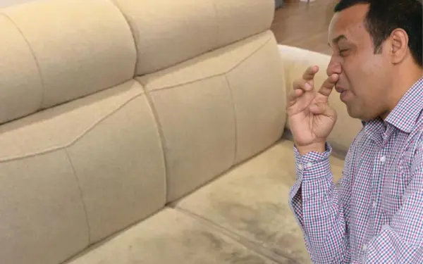 Tips for cleaning mold and stains off your sofa