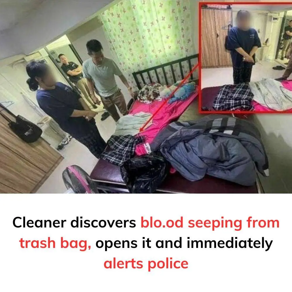 Cleaner Discovers Blood Seeping from Trash Bag, Opens It and ...