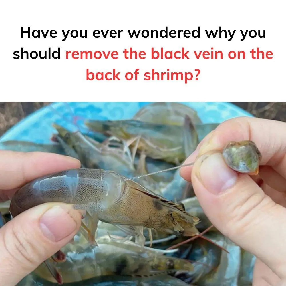 Why you should remove the black vein on the back of shrimp?