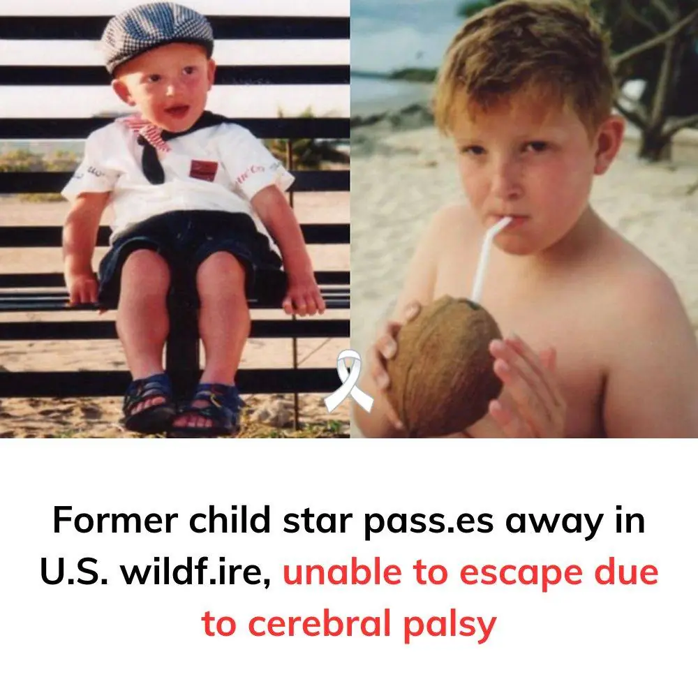 Former Child Star Passes Away in U.S. Wildfire, Unable to Escape Due to ...