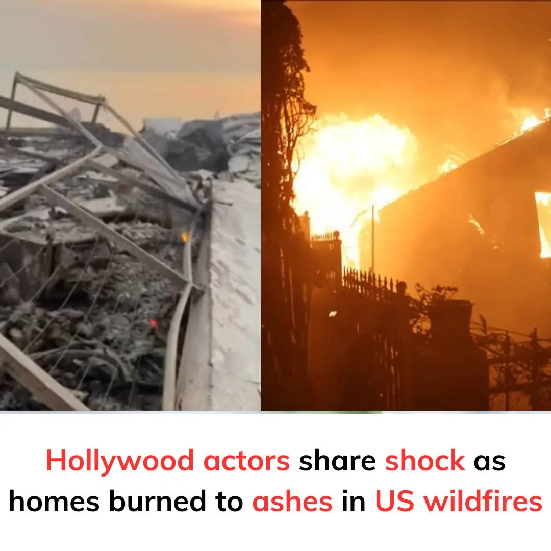 Hollywood actors share shock as homes burned to ashes in US wildfires