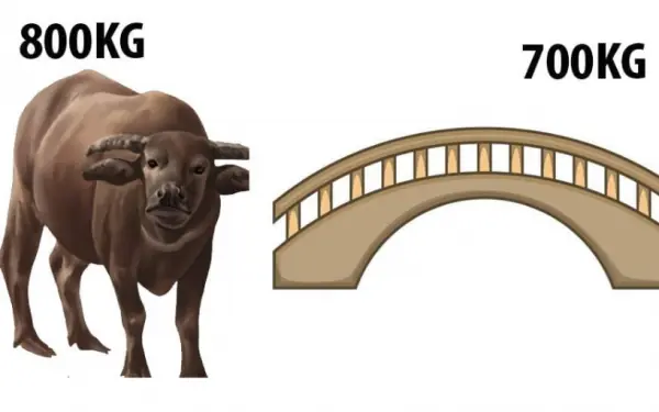 How can the buffalo cross the bridge?