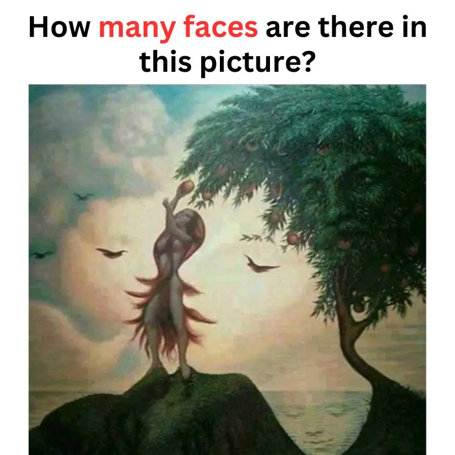 How many faces are there in this picture?