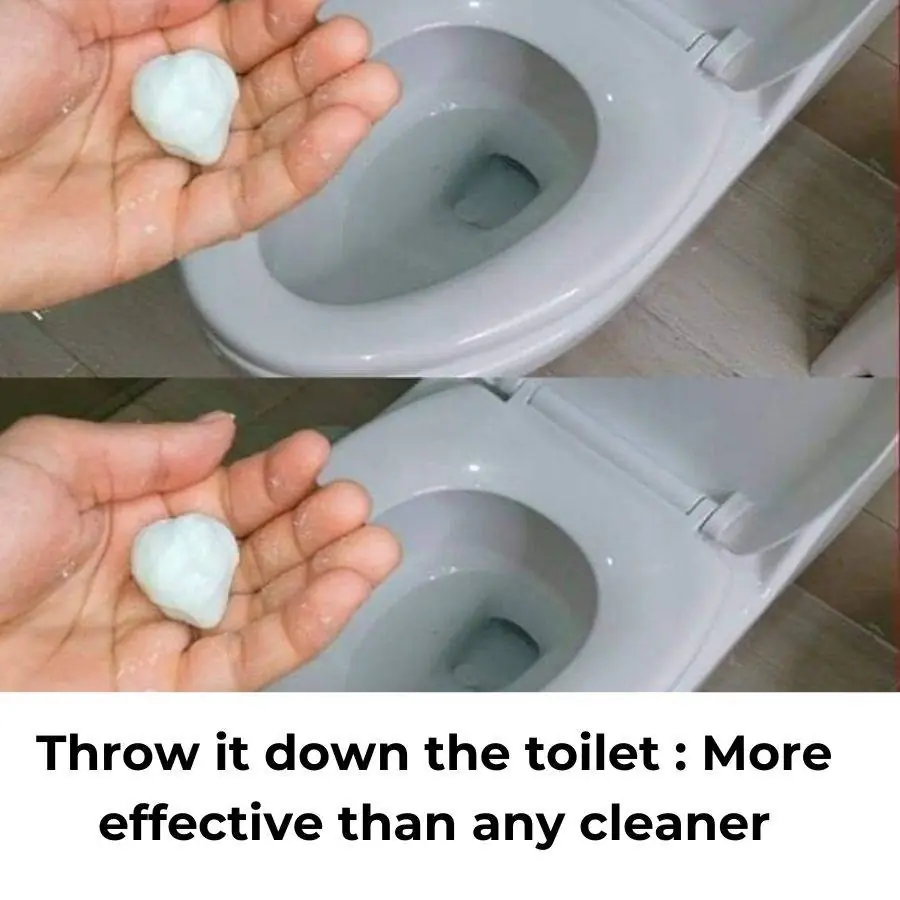 Garlic for toilet