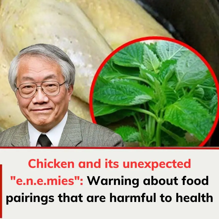 Chicken and its unexpected "enemies"