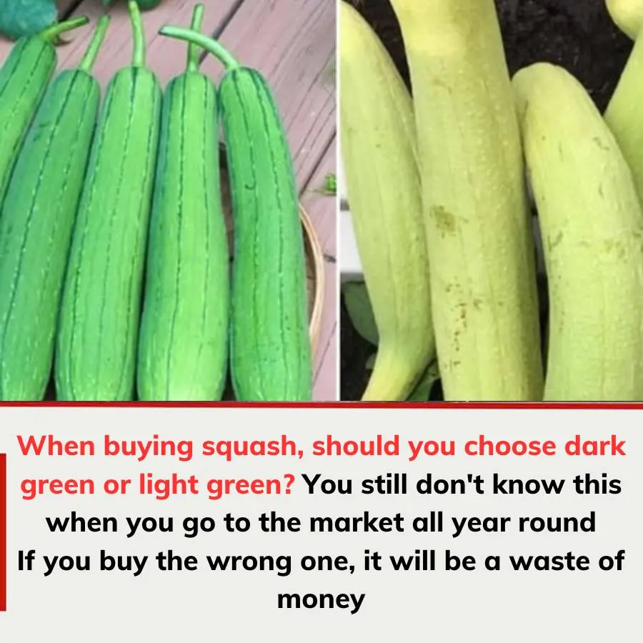 Should you choose dark green or light green?