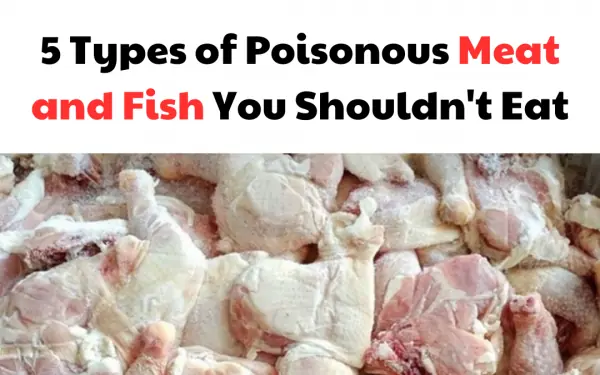 5 Types of Poisonous Meat and Fish You Shouldn't Eat