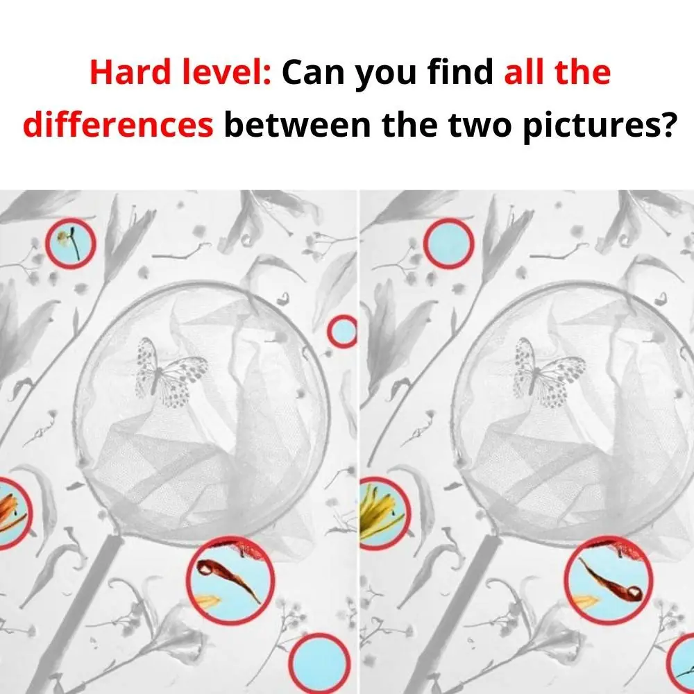 Hard level