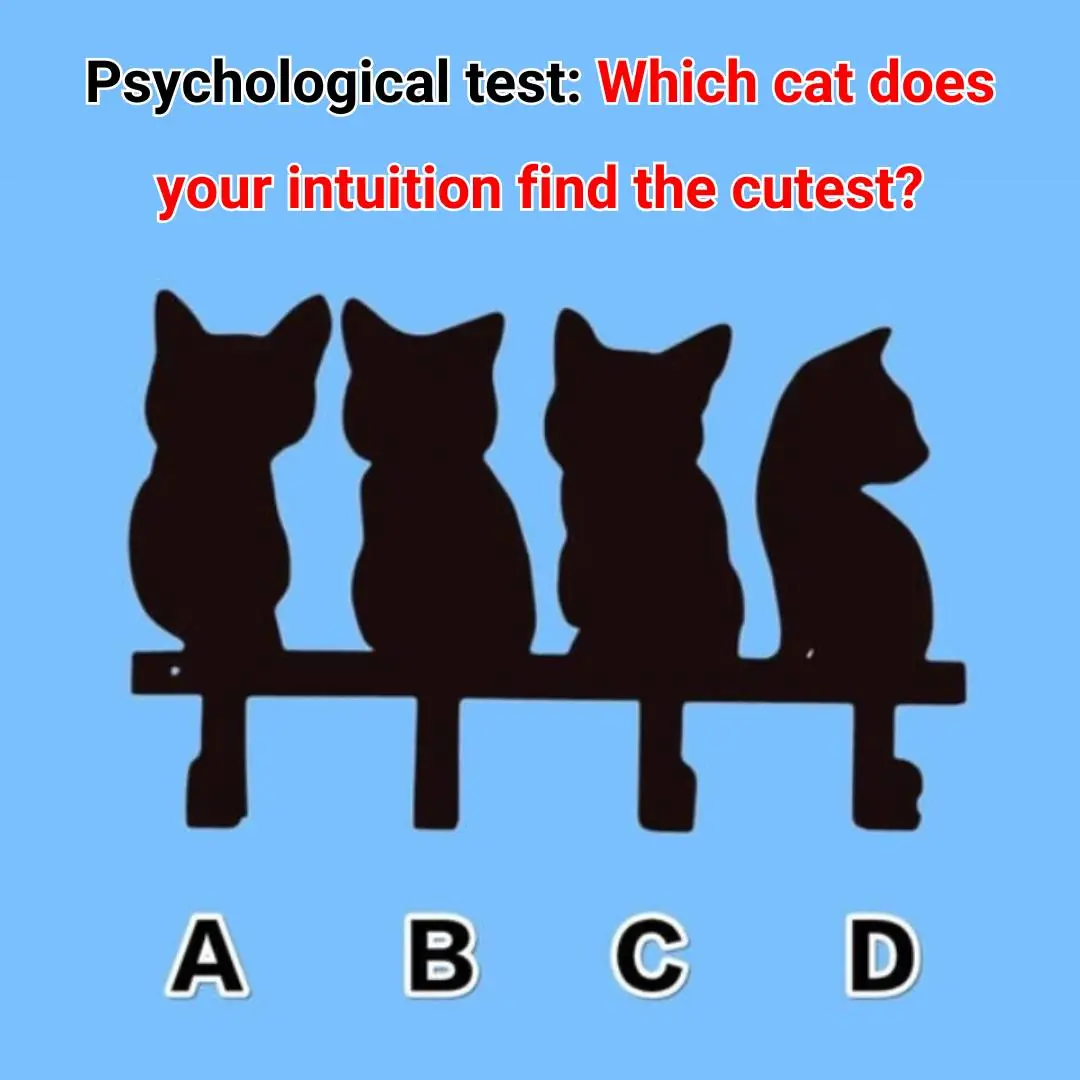 Which cat does your intuition find the cutest?