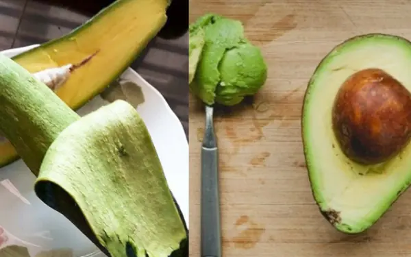 Long avocado or round avocado