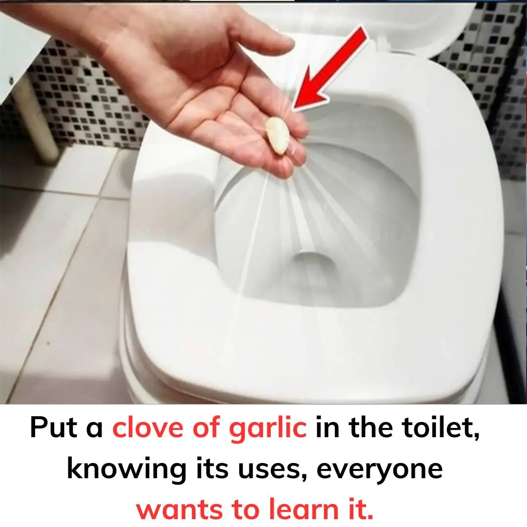 Put a clove of garlic in the toilet