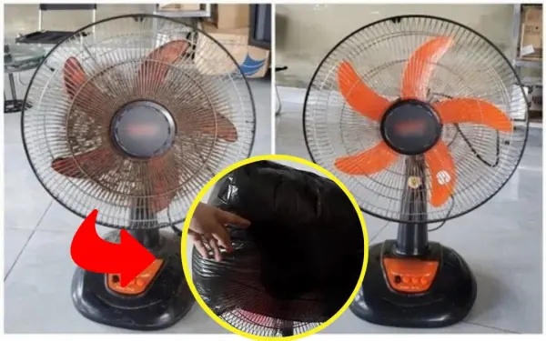 A 2-minute trick for a spotless fan