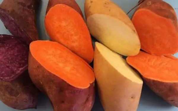 What color sweet potato is the most nutritious?
