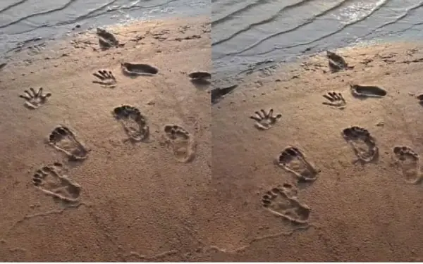 Has anyone ever seen such strange footprints?