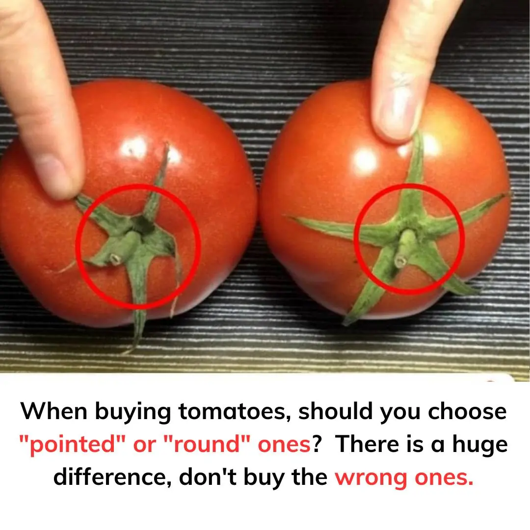 When buying tomatoes, should you choose "pointed" or "round" ones
