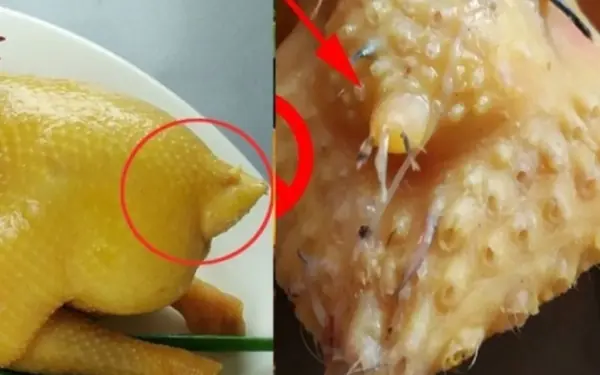 These 4 parts of chicken contain a lot of 'parasites