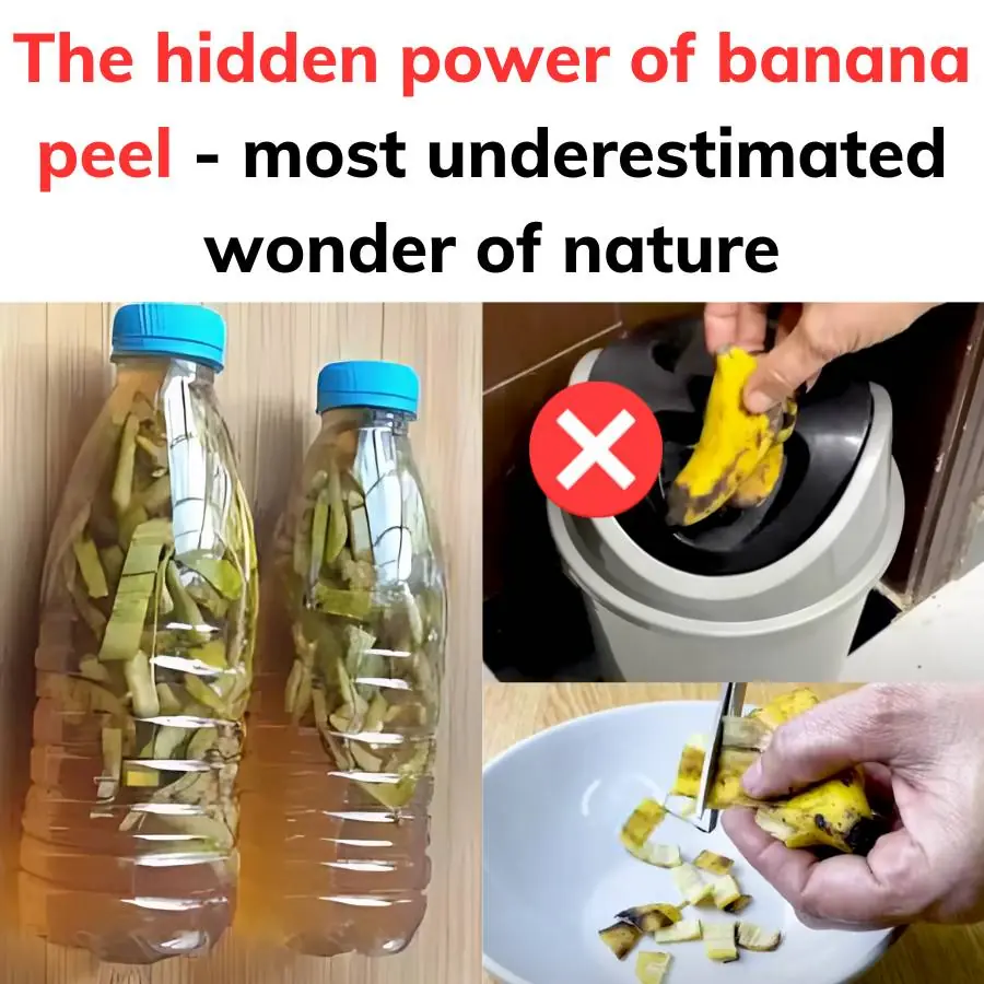 The hidden power of banana peel