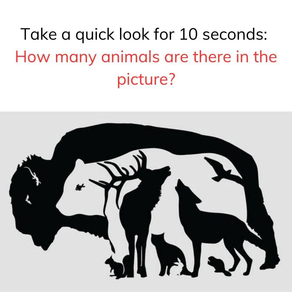 How many animals are there in the picture?