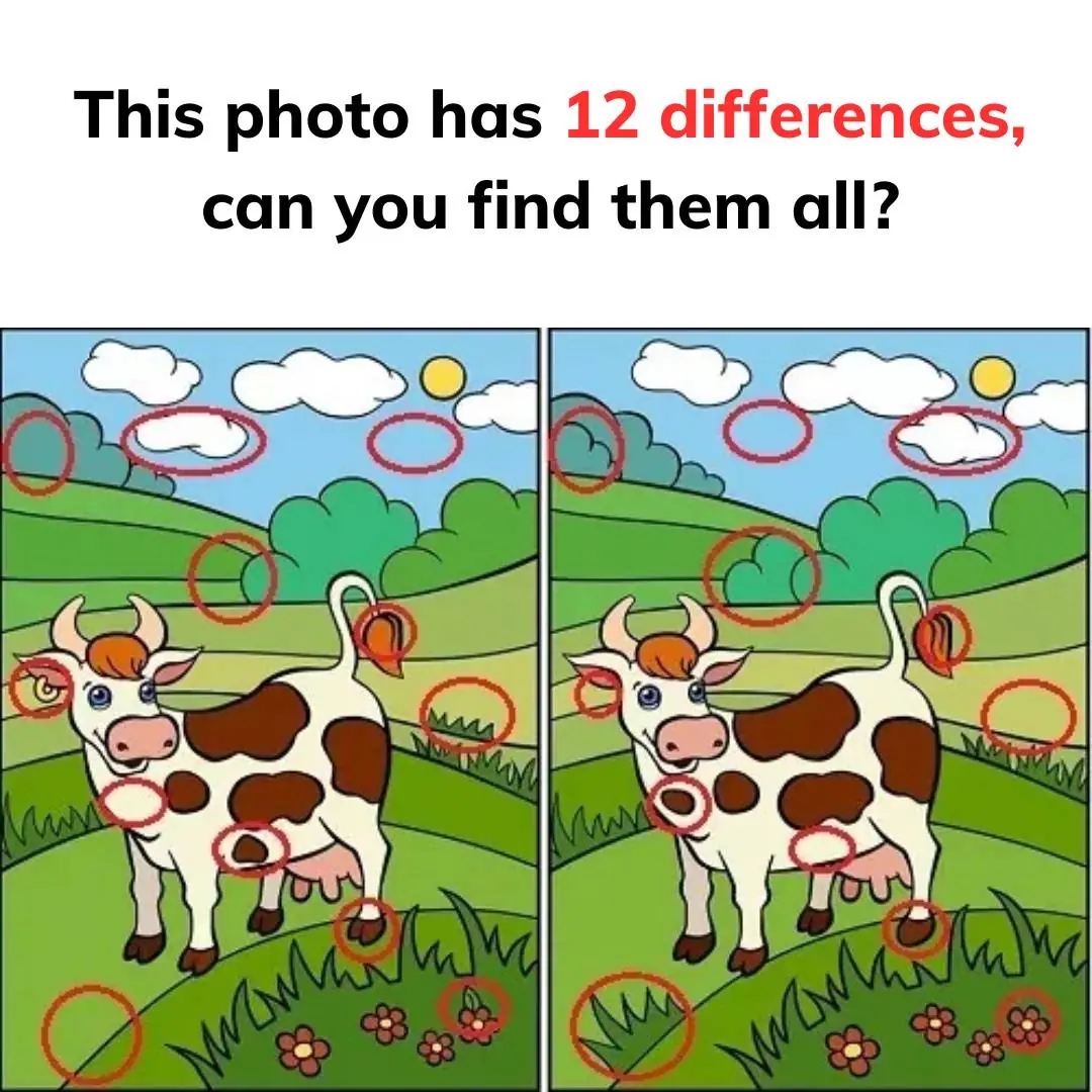 Can you find them all?