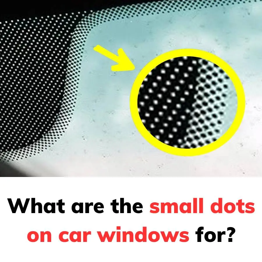 What are the small dots on car windows for?