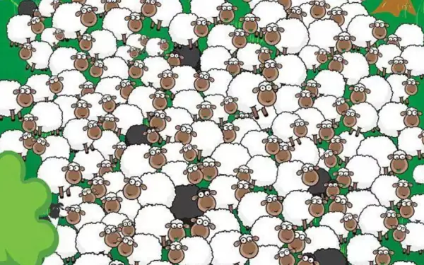 Tell me how many animals in the picture are sleepy