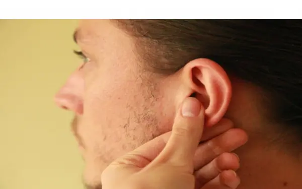 Why do our ears have protruding structures, and what do they actually do?