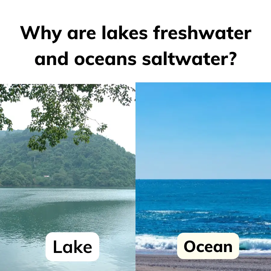 Why are lakes freshwater and oceans saltwater?