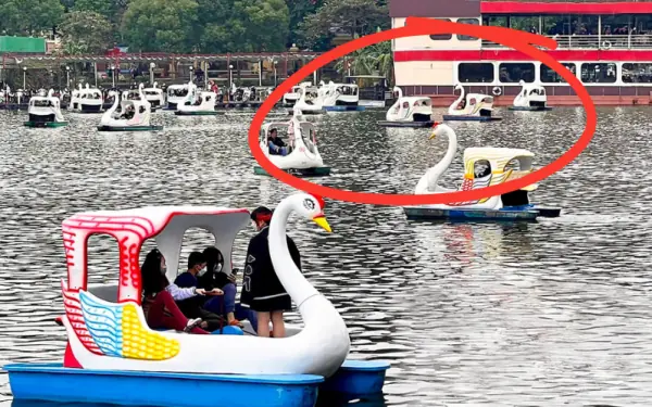 What is the answer here?