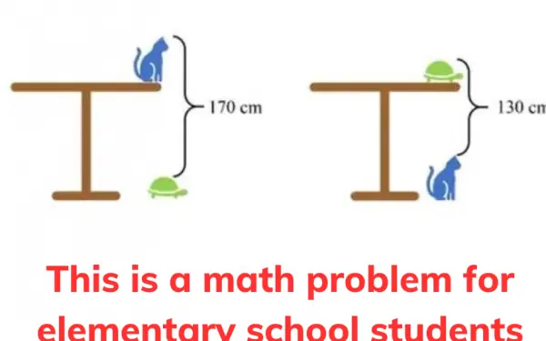 How high is the table?