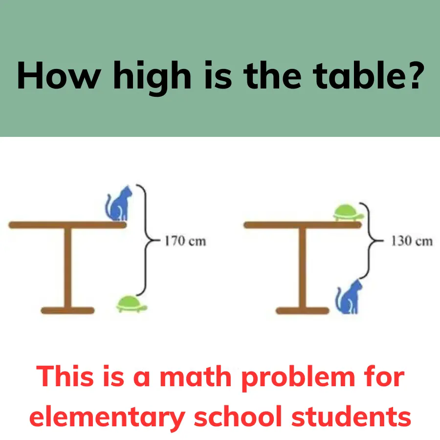 How high is the table?
