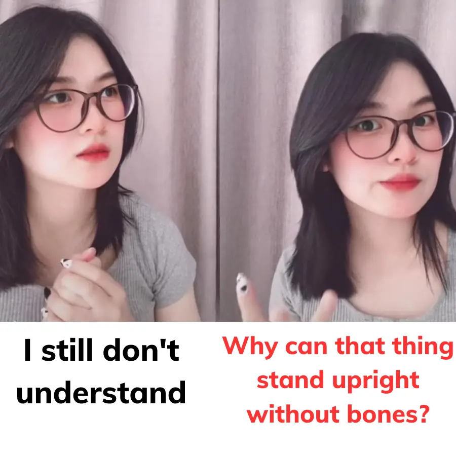 Why can that thing stand upright without bones?