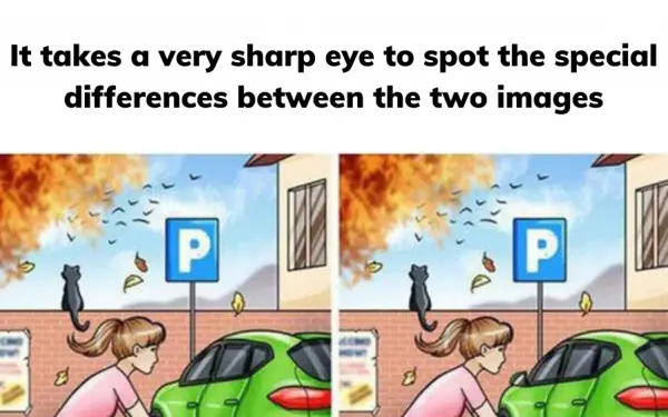It takes a very sharp eye to spot the special differences between the ...