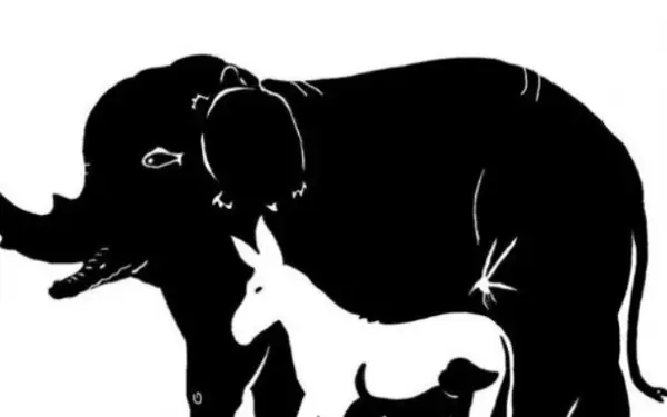 How many animals are in the picture