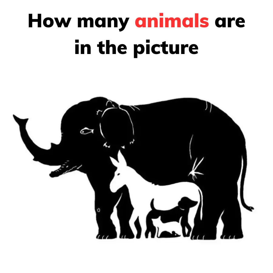 How many animals are in the picture