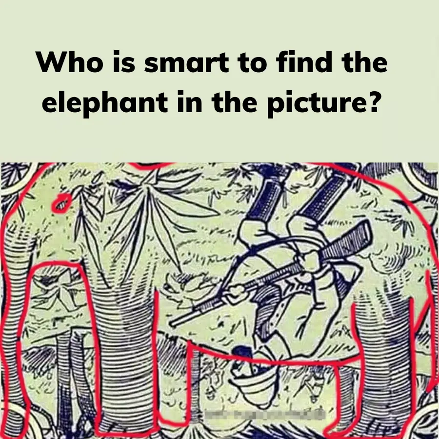 Who is smart to find the elephant in the picture?