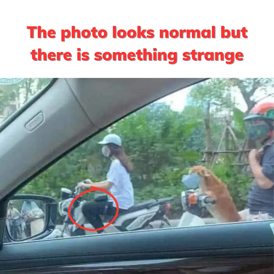 The photo looks normal but there is something strange