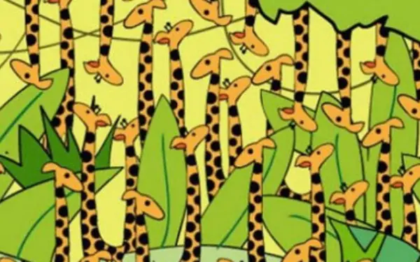 It took 5 seconds to find the snake hidden among the giraffes in the ...