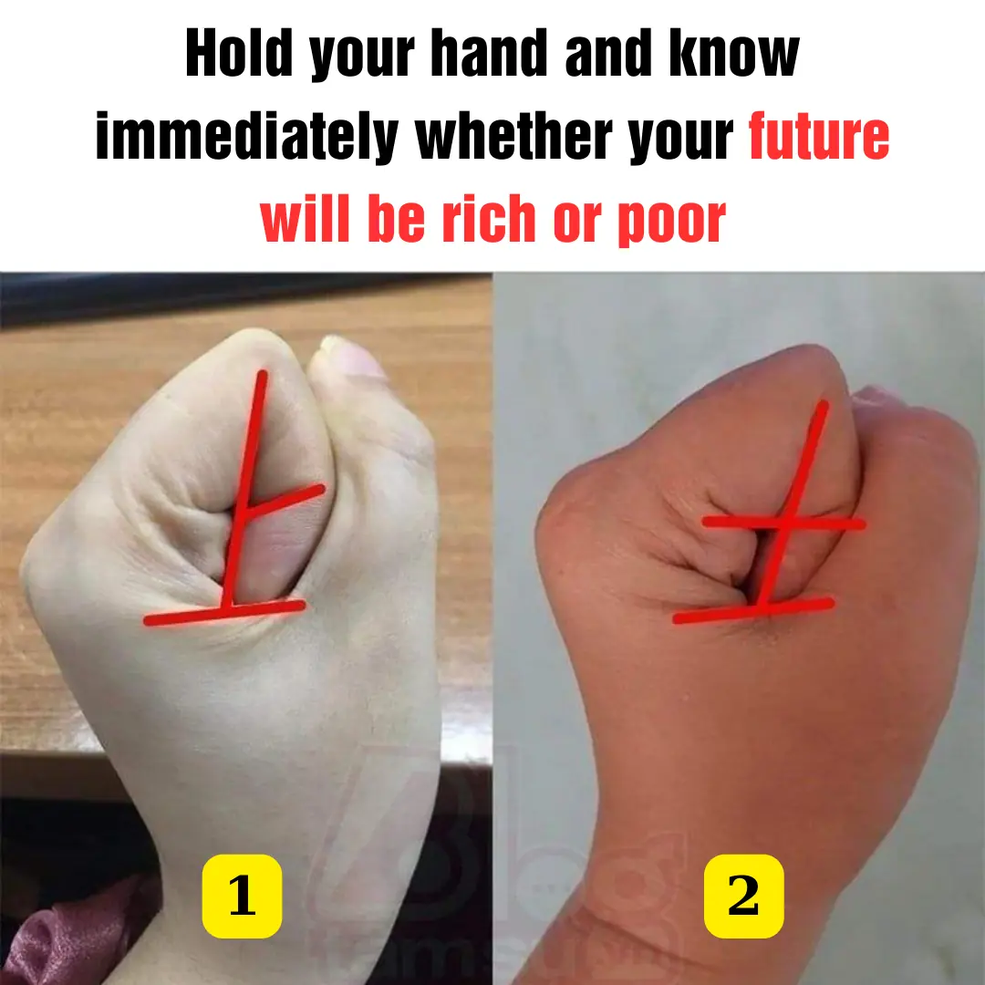 Hold your hand and know immediately whether your future will be rich or ...