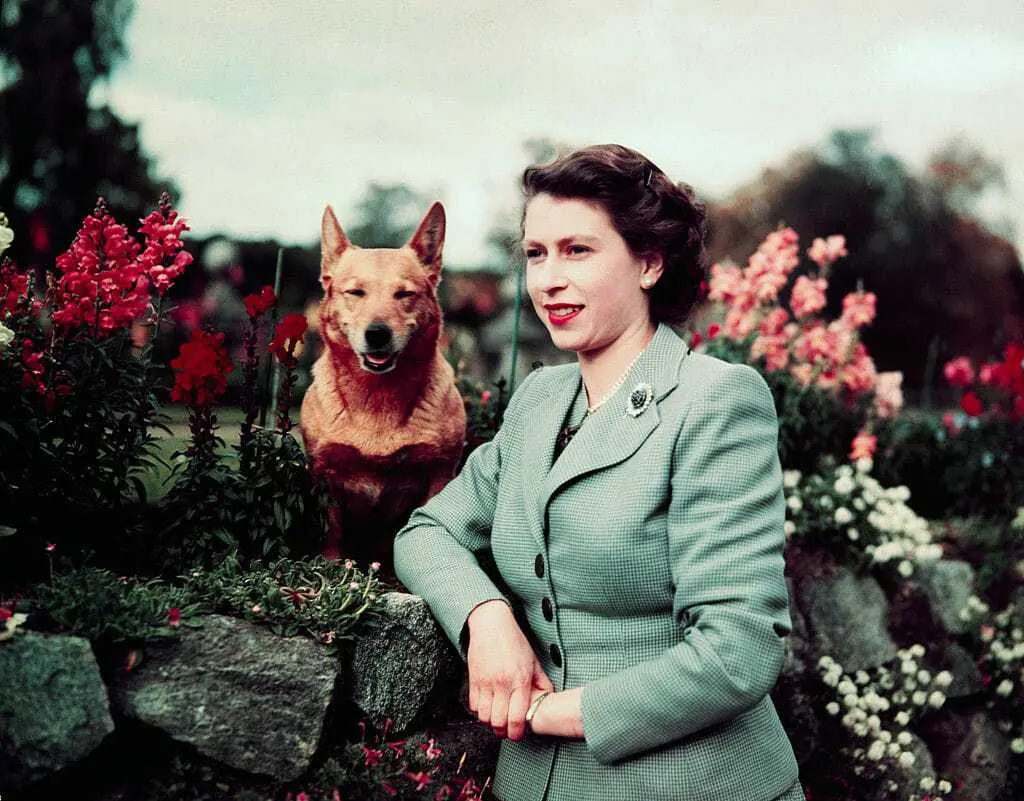 Newly-unveiled statue of Queen Elizabeth II includes her beloved pet Corgis