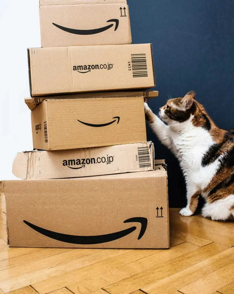 Cat sneaks into Amazon box, accidentally gets shipped 650 miles from home