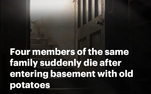 Russian girl, 8, orphaned after her ENTIRE family is wiped out by ...