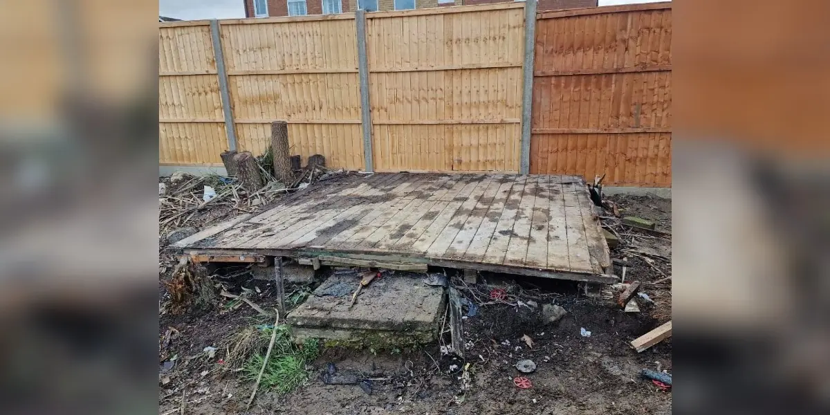 Gardeners Jump When They Discover A Tiny Family Living In Dilapidated Shed